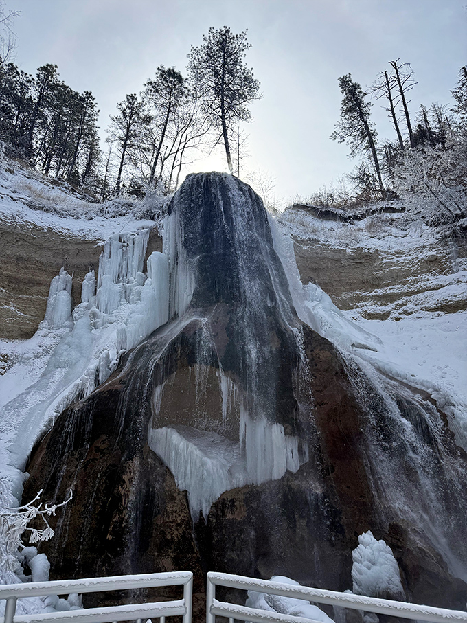 Winter transforms Smith Falls into nature's ice sculpture garden&mdash;half waterfall, half frozen fantasy, completely mesmerizing.