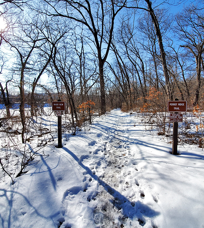 Winter transforms these trails into a Currier & Ives painting, minus the horse but with better parking.