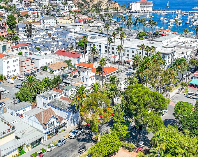 Avalon from above reveals its perfect horseshoe harbor, where the iconic Casino building stands guard at one end like a Art Deco exclamation point.