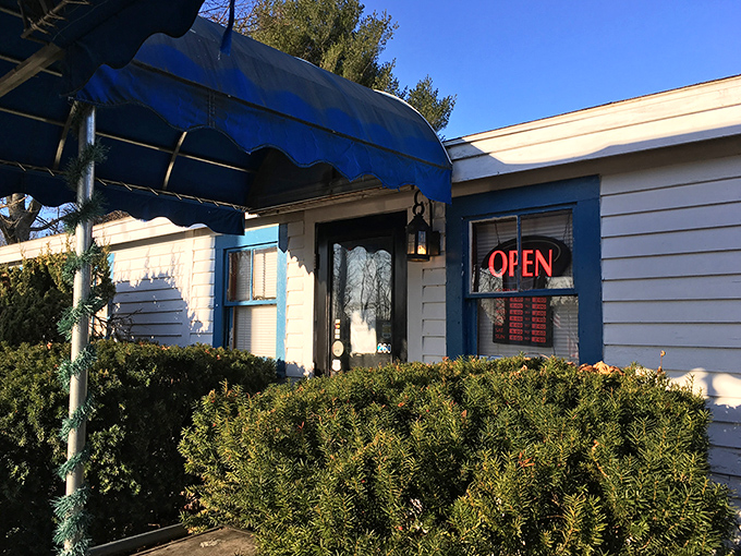 The blue awning and "OPEN" sign &ndash; six letters that promise more happiness than most twelve-page contracts. The shrubs stand guard over breakfast treasures.