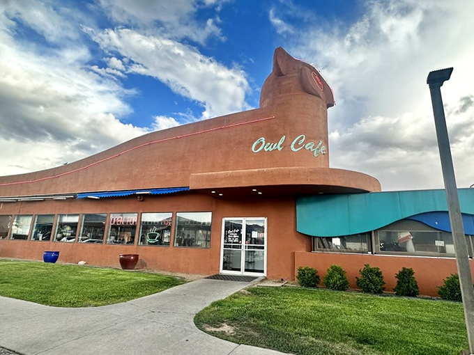 Another angle of the magnificent owl building &ndash; like a Southwest roadside attraction that actually delivers on its promise.
