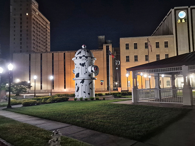 Night falls but the spotted sentinel never sleeps, standing guard over downtown Beaumont.