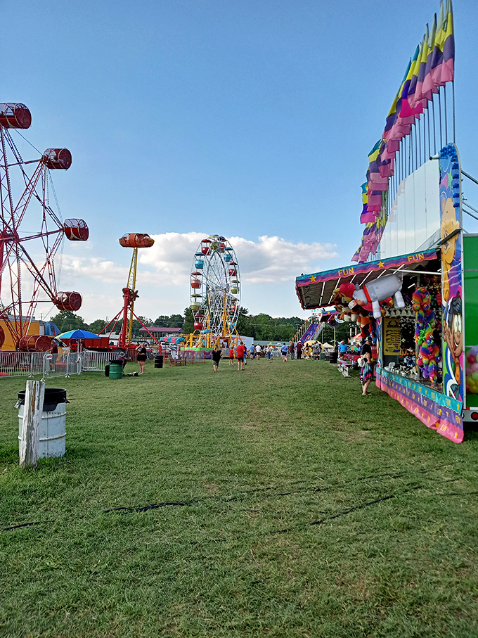The county fair—where calories don't count and Ferris wheels still deliver genuine thrills without VR headsets.