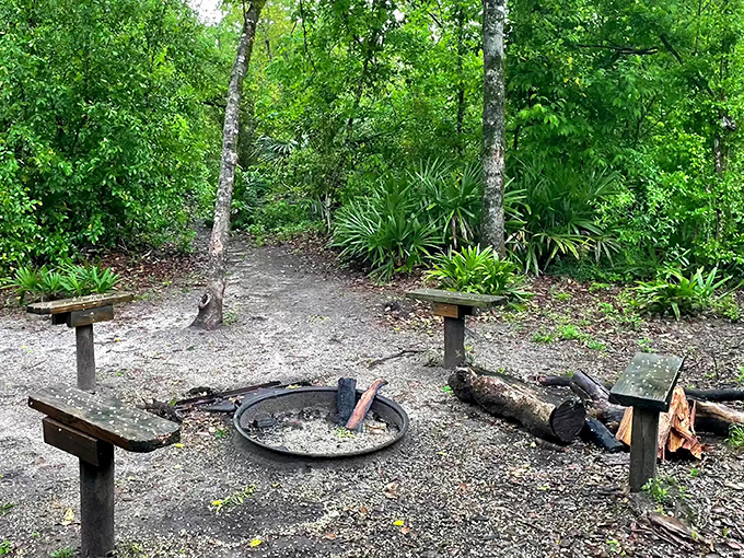 Primitive camping spots offer the original social network—actual face-to-face conversations around a fire pit, with no charging stations required.