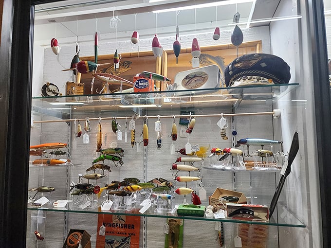Fishing lures that have probably caught more collectors than actual fish. A rainbow of vintage tackle that transforms ordinary walls into sporting galleries.
