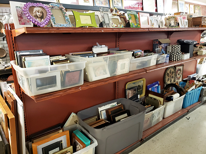 Picture frames galore—from ornate to minimalist—ready to transform your family photos from phone-bound pixels to wall-worthy showcases.