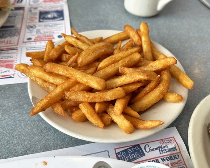 French fries that achieve that perfect balance &ndash; crispy exterior, fluffy interior, and just enough salt to make you reach for another.