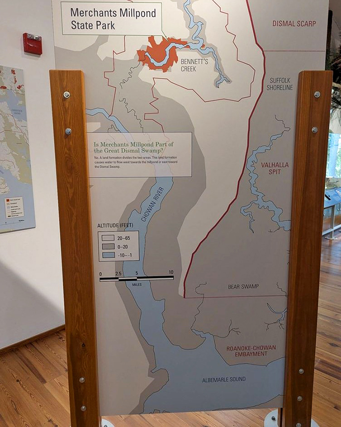 Maps tell the story of this unique ecosystem. The park sits at the fascinating intersection of coastal plain and swamp forest habitats.