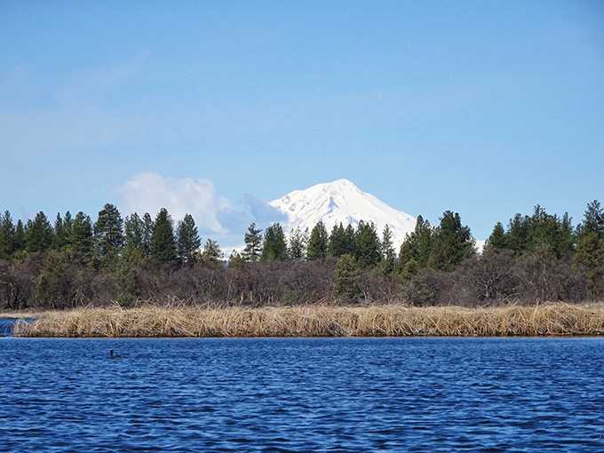 Mount Shasta plays peekaboo across Ahjumawi's blue waters, reminding visitors they're in the presence of geological royalty.