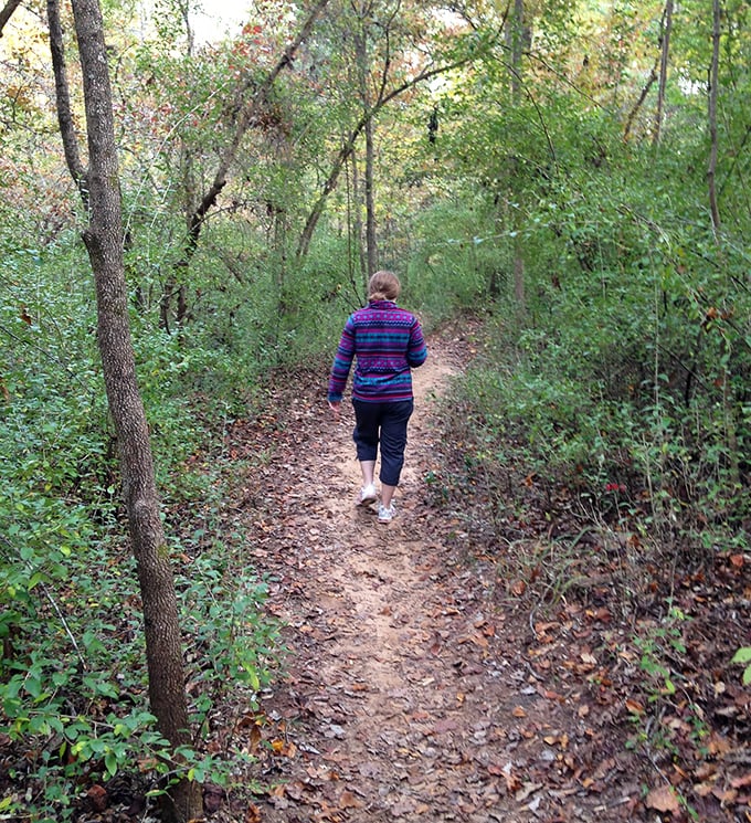 Hiking trails that remind you your legs were designed for more than just pressing gas pedals and walking to the refrigerator.