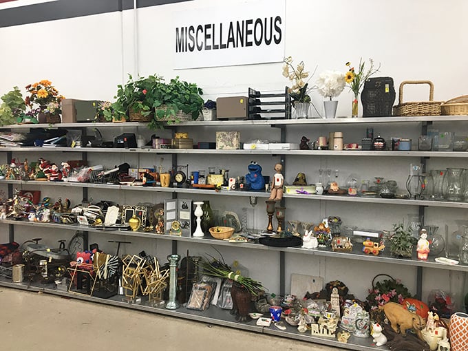 The "Miscellaneous" section&mdash;retail's version of a junk drawer, where ceramic animals and forgotten hobbies find temporary shelter before adoption.