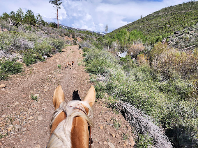 Horseback riding here isn't a tourist attraction&mdash;it's Tuesday. These trails offer perspective you can't get from behind a windshield.