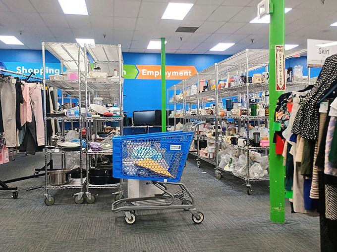 The housewares section&mdash;where kitchen gadgets get their second act. One person's decluttered drawer becomes another's culinary inspiration.