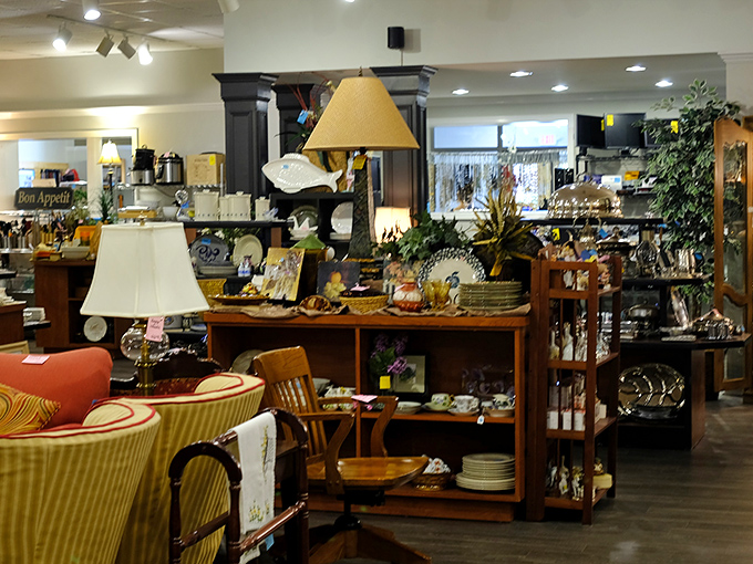 Lamps, dishes, and d&eacute;cor arranged with such care you'll forget you're in a thrift store and not a boutique home goods emporium.