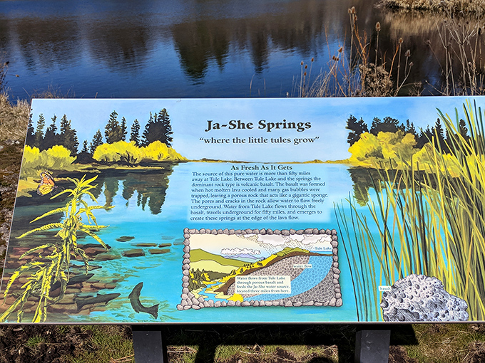 Educational signage that doesn't lecture&mdash;Ja-She Springs reveals its secrets through art and science, making learning as refreshing as the water itself.
