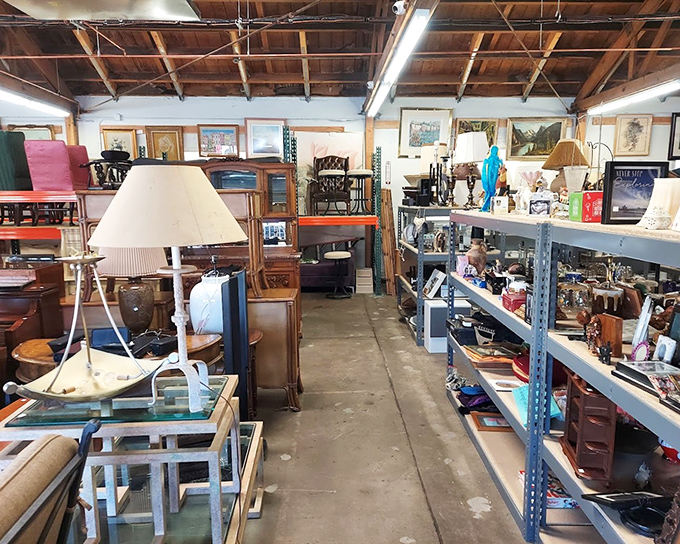 Aisles designed for wandering and wondering. Each turn reveals new categories of treasures organized just enough to maintain the thrill of discovery.