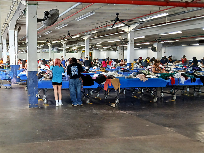 The warehouse atmosphere adds to the adventure. Under these industrial lights, everyday shopping transforms into an urban safari.