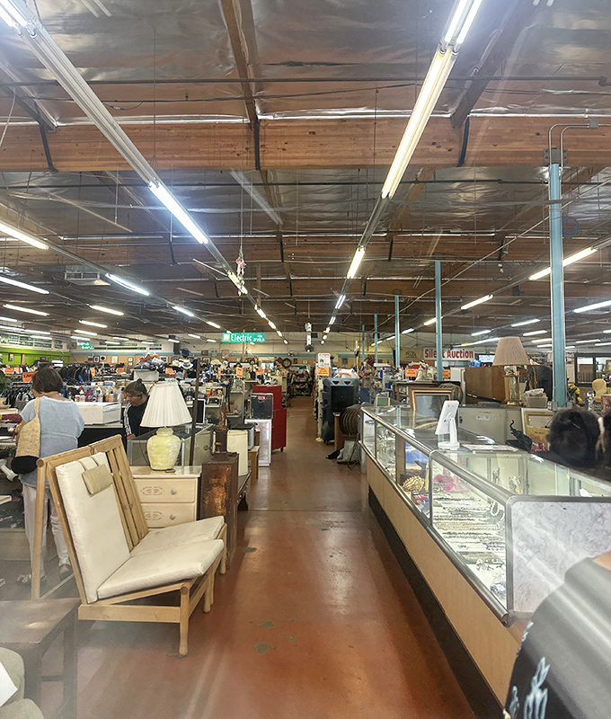 A wide-angle view reveals the true scale of this treasure trove - aisles stretching toward possibilities limited only by imagination.