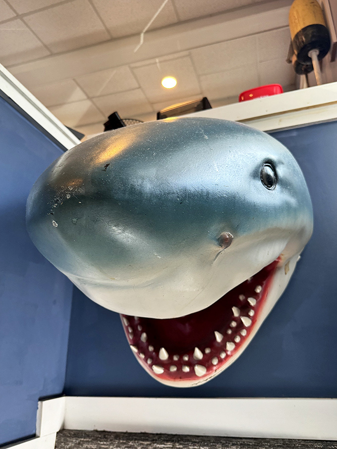 That shark isn't guarding the kitchen&mdash;he's just making sure you save room for dessert. Nautical kitsch at its finest in this seafood sanctuary.