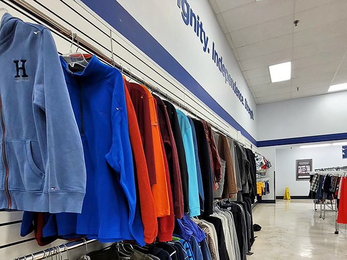 The hoodie rainbow&mdash;where collegiate pride meets comfort in a spectrum of colors that would make a box of crayons jealous.