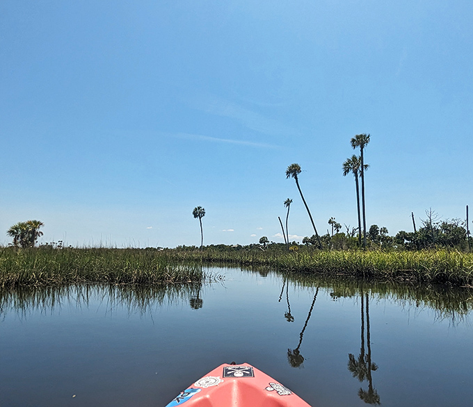 Paddle through paradise &ndash; kayaking these pristine waters offers a turtle's-eye view of the same landscapes that sustained indigenous communities for thousands of years.