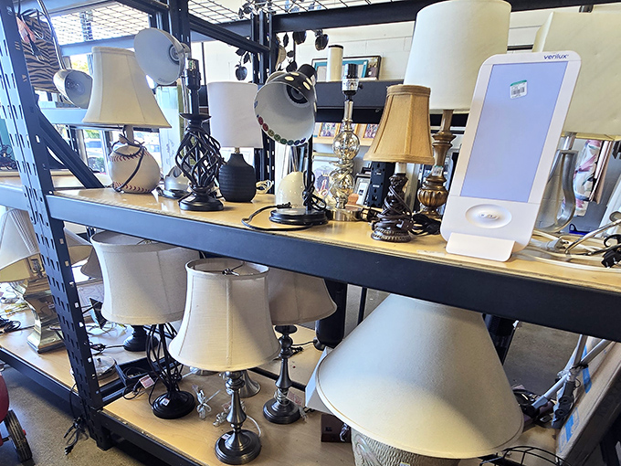 Illuminating finds at every turn! This lamp collection could light up a small village or add character to that dark corner of your living room.