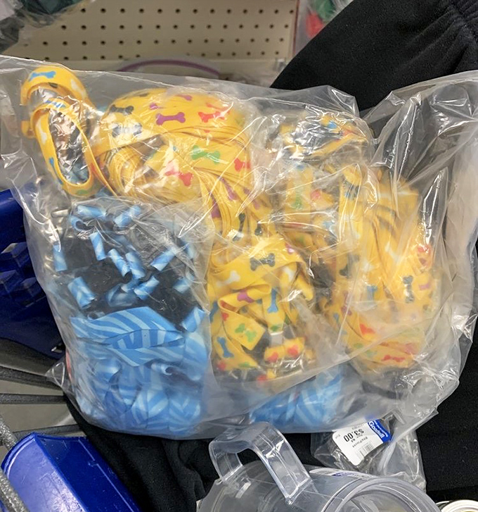 Stuffed animals waiting for their second chance at cuddles. These plush pals cost less than a fancy coffee but deliver joy that lasts much longer.