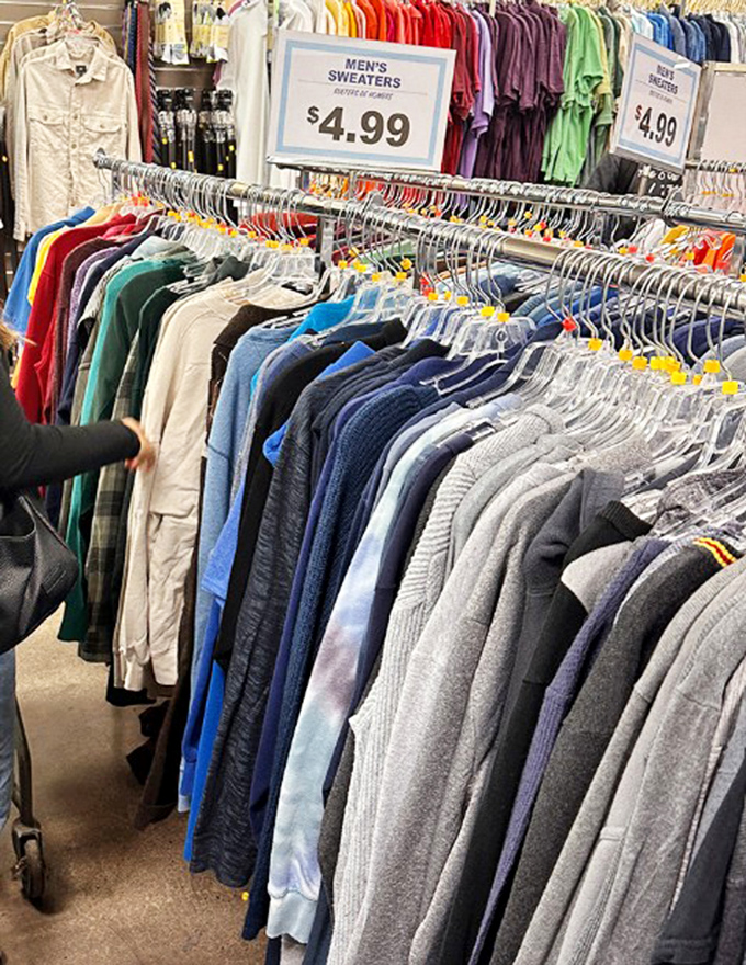 Men's sweaters lined up like soldiers ready for duty in your closet. At $4.99 each, building a layered winter wardrobe becomes actually affordable.