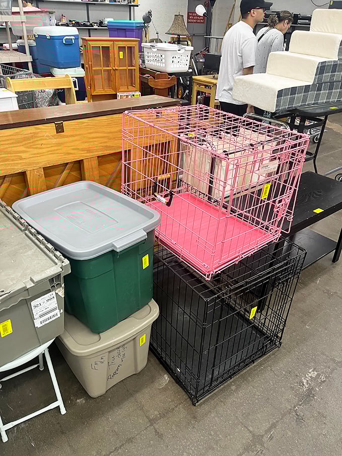 From pet carriers to storage bins, the miscellaneous section is where practical meets peculiar&mdash;everyday necessities neighboring the delightfully unexpected.