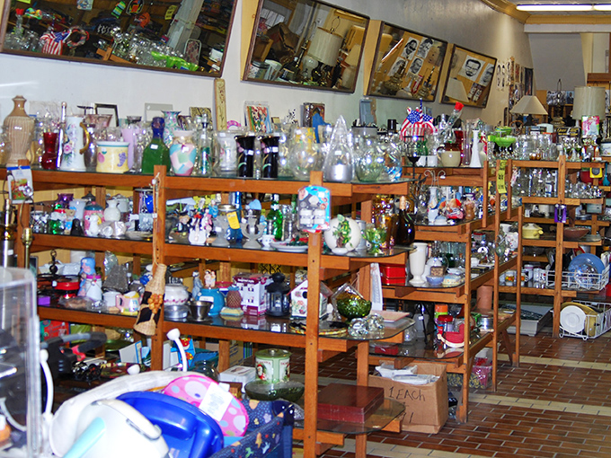 Glassware galore! This shelf of sparkling potential holds everything from forgotten souvenir mugs to crystal that once toasted special occasions.