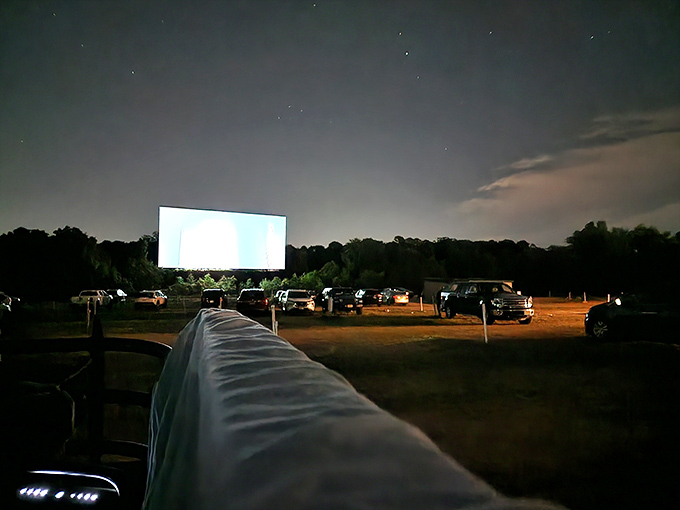 Stars above, stars on screen. The Delsea's nighttime ambiance offers a double feature of celestial and Hollywood magic.