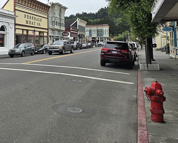 That red fire hydrant isn't just functional infrastructure—it's a pop of color against Ferndale's sidewalks and a reminder of the town's volunteer fire department.