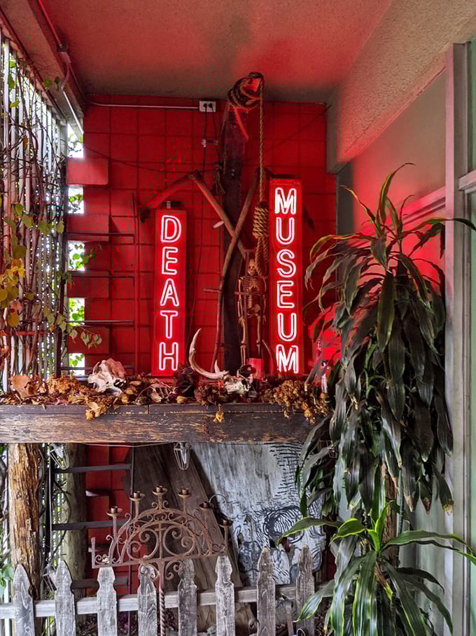 Red neon signs illuminate a skeletal display, creating an atmosphere that's equal parts educational exhibit and horror movie set.
