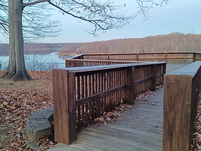 Winter's stark beauty frames the overlook in quiet simplicity. The wooden boardwalk invites contemplation even in the coldest months.