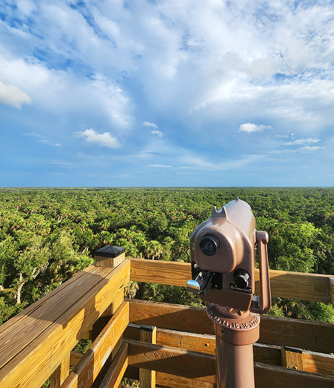 The reward for conquering the tower: a panoramic view that stretches to forever, with a convenient viewfinder for spotting distant wildlife.