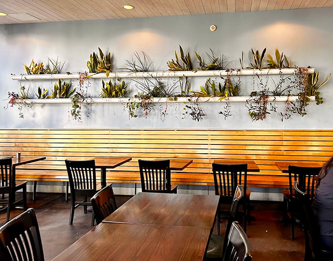 Minimalist design meets maximum comfort. Those hanging plants create a living art installation that beats any museum I've visited lately.