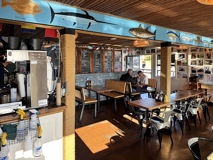 Sunlight streams through windows illuminating a space where fish tales and actual fish tails come together in perfect harmony.