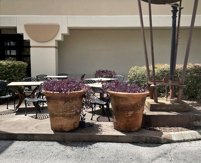 A quiet patio moment before the meat marathon begins. These terracotta planters have witnessed countless pre-dinner conversations and post-dinner food comas.