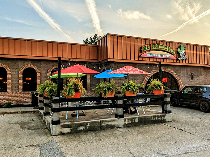 Sunset casts a golden glow on the patio&mdash;nature's way of saying it's officially margarita o'clock.