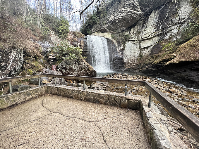 The thoughtfully designed viewing platform offers the perfect vantage point without disturbing the natural setting &ndash; like a front-row seat to Earth's greatest show. 