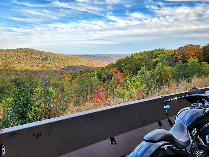 Nature's amphitheater stretches to the horizon, showcasing the undulating Ozark Mountains in their autumn finery. Pull over, you'll want to remember this view.