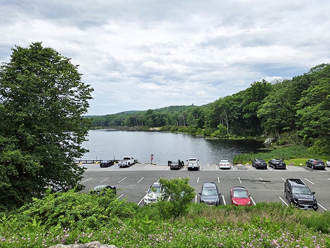 Civilization's gentle footprint. This thoughtfully designed parking area provides access to wilderness without overwhelming it.