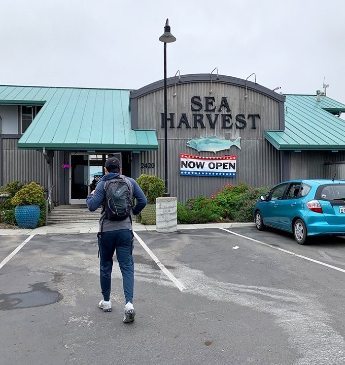 Even from the parking lot, you can practically smell the day's catch. That blue-green building houses more culinary treasures than most fancy restaurants.