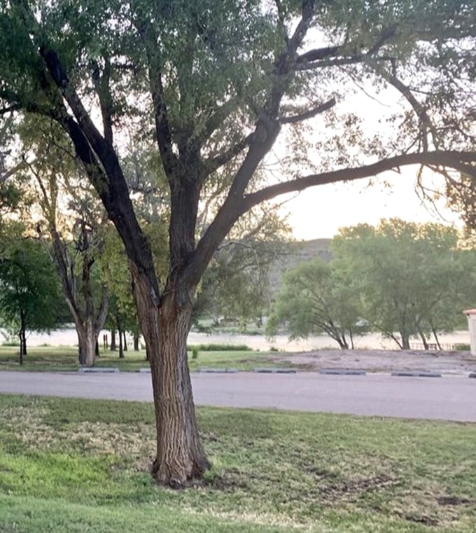 Ancient cottonwoods stand guard over the park, witnesses to decades of family memories. Their shade is Kansas gold on hot summer days.