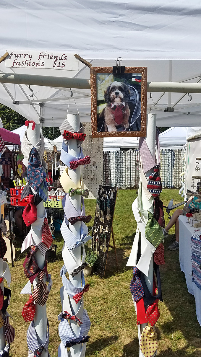 Pet accessories that let your four-legged friend dress better than most humans. That dog photo is judging your fashion choices.