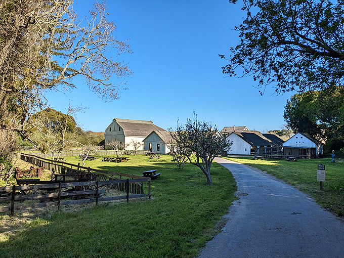 Historic farm buildings stand as testaments to California's agricultural roots, where modern visitors can glimpse life before smartphones and streaming services.