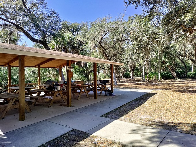 This picnic pavilion transforms ordinary sandwiches into gourmet experiences &ndash; the secret ingredient is that view.