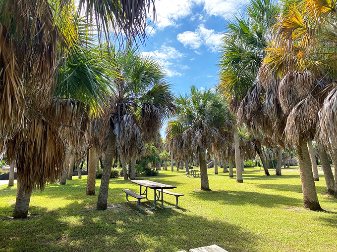 Dining al fresco, Caladesi-style. This picnic spot offers million-dollar views without the South Beach price tag.