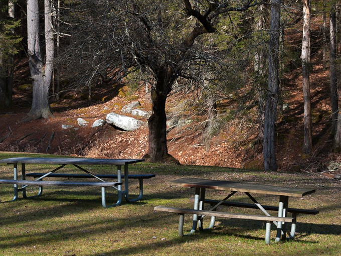 Picnic tables positioned for optimal sandwich enjoyment. The forest ambiance elevates even the humblest PB&J to gourmet status.