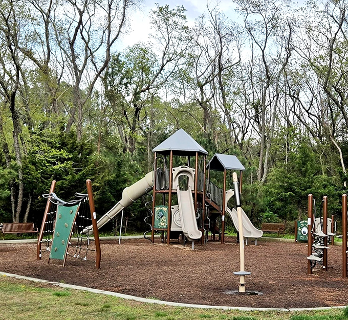 This playground proves that childhood joy and natural beauty make the most magical combination.